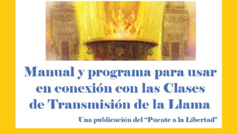 Manual y Programa para usar en Conexión con Las Clases para la ...